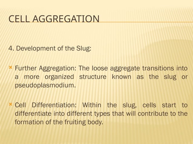 Cell aggregation and Differentiation in Dictyostelium.pptx | Biological ...