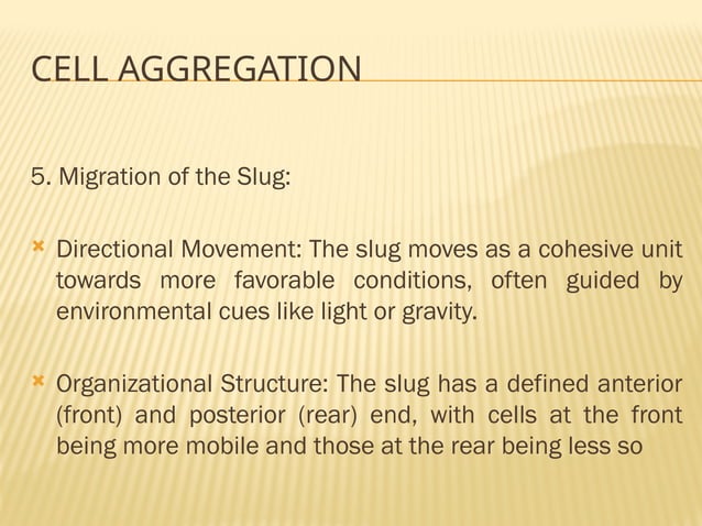 Cell aggregation and Differentiation in Dictyostelium.pptx | Biological Sciences | Science