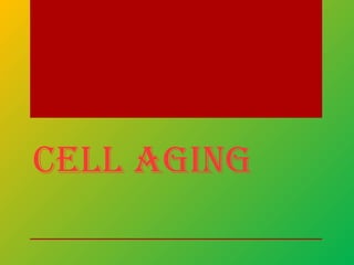 Cell aging | PPT