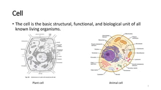 Cell aging | PPTX
