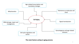 Cell aging | PPTX