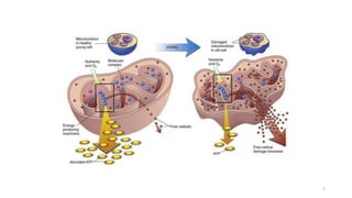 Cell aging | PPTX