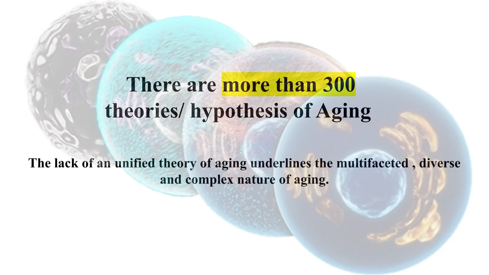 Cellular Aging and Its Molecular Mechanism | PPT