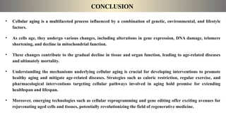 Cellular Aging and Its Molecular Mechanism | PPTX