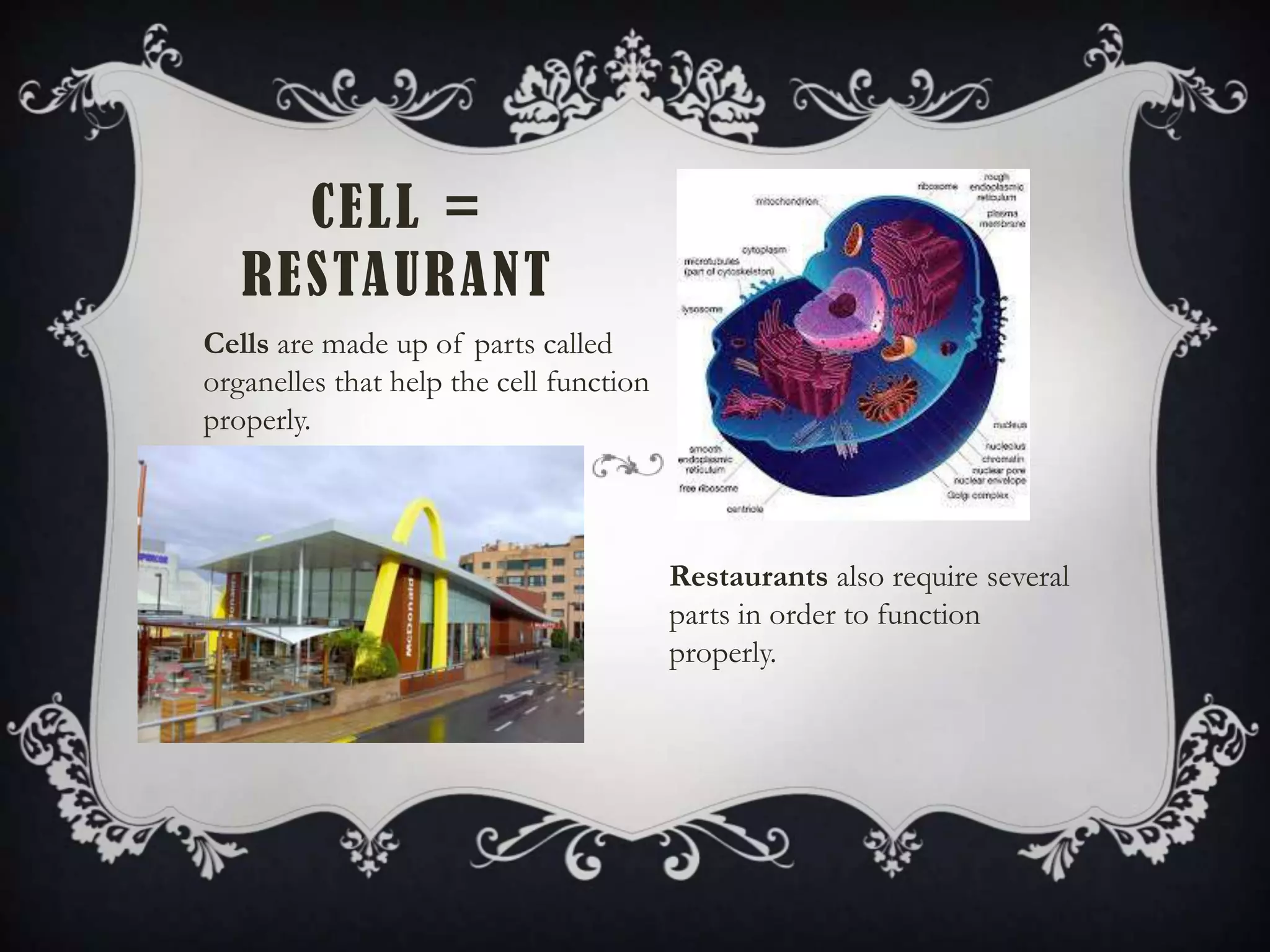 Cell Analogy Example | PPTX