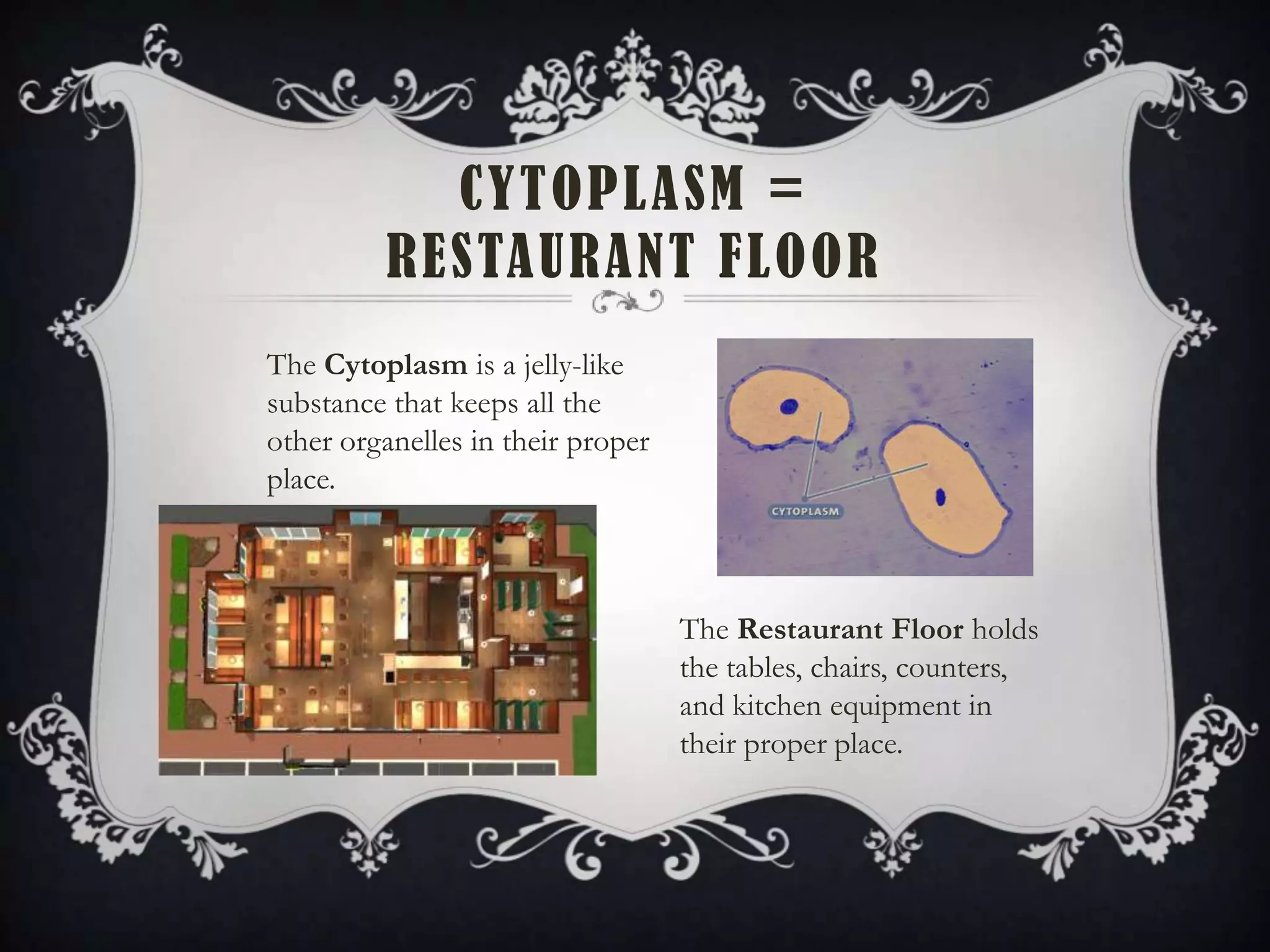 Cell Analogy Example | PPTX