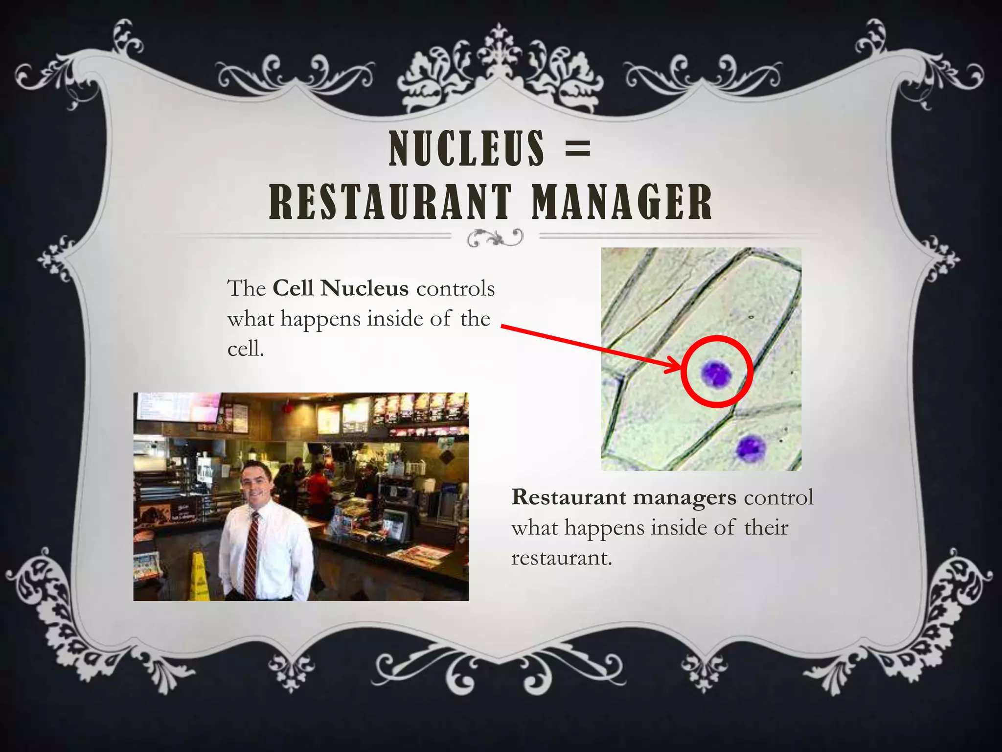 Cell Analogy Example | PPTX