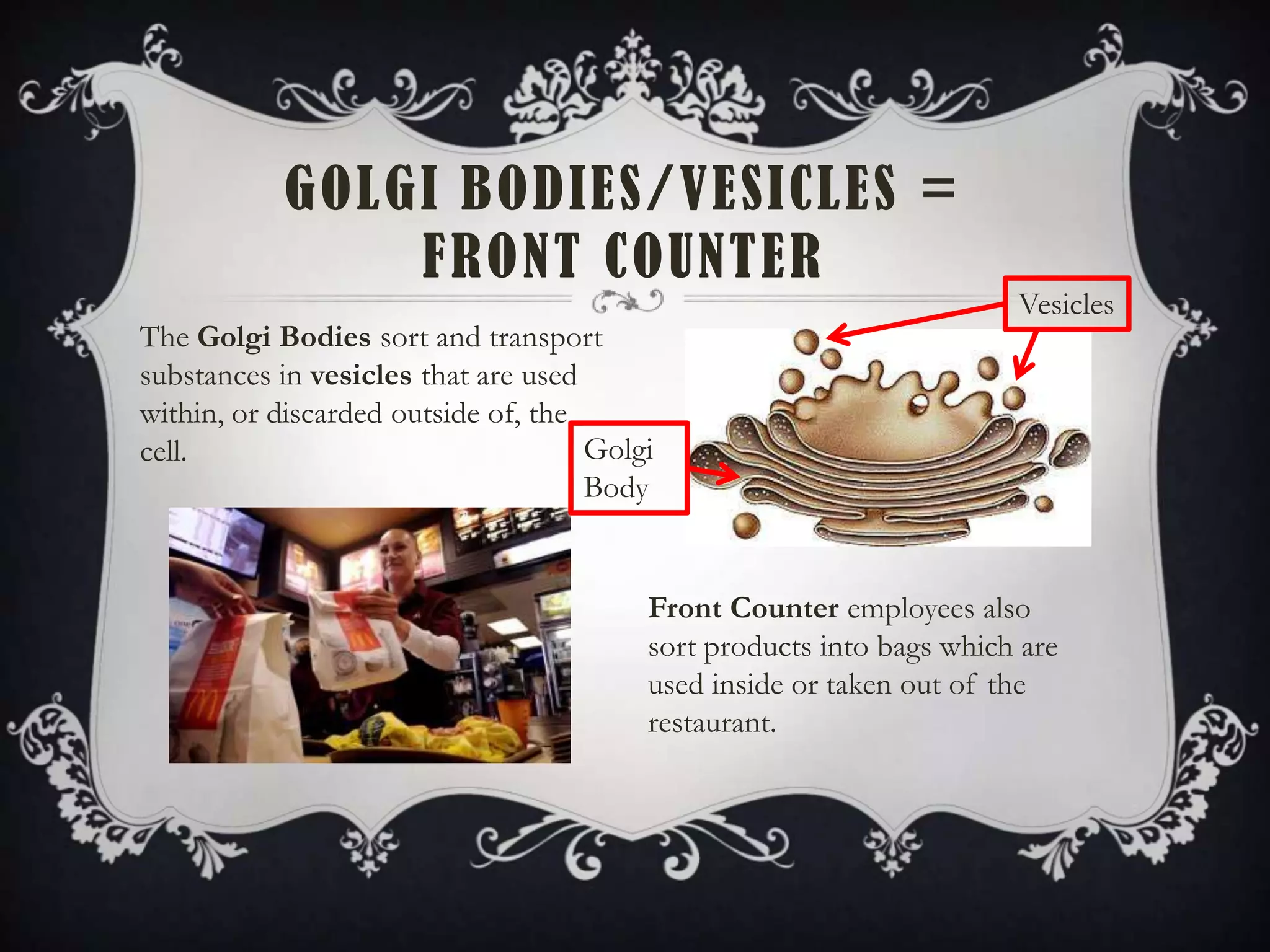 Cell Analogy Example | PPTX