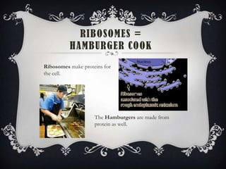 Cell Analogy Example | PPTX