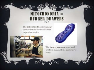 Cell Analogy Example | PPTX