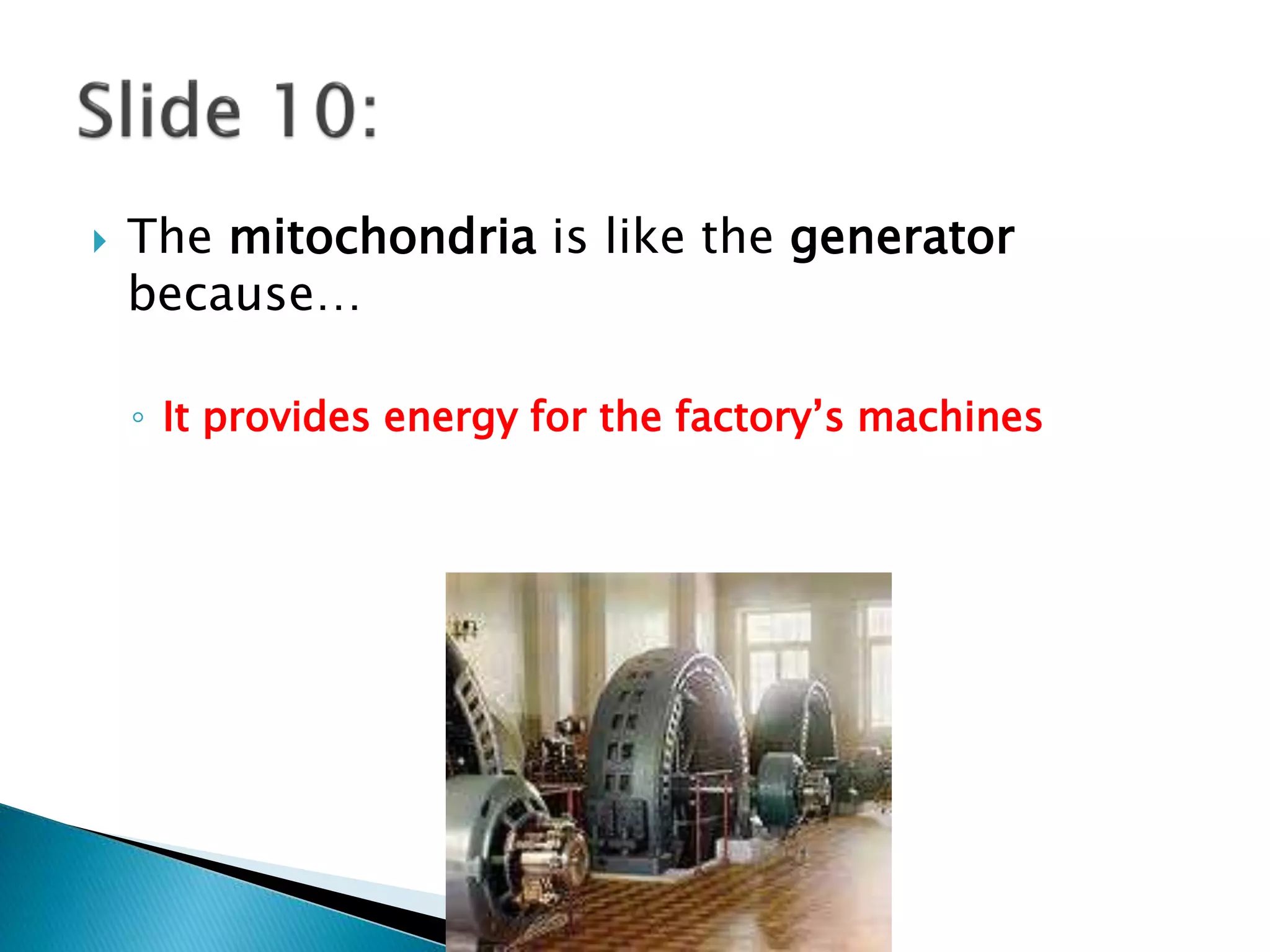 Cell Analogy PowerPoint.pptx