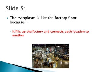 Cell Analogy PowerPoint.pptx