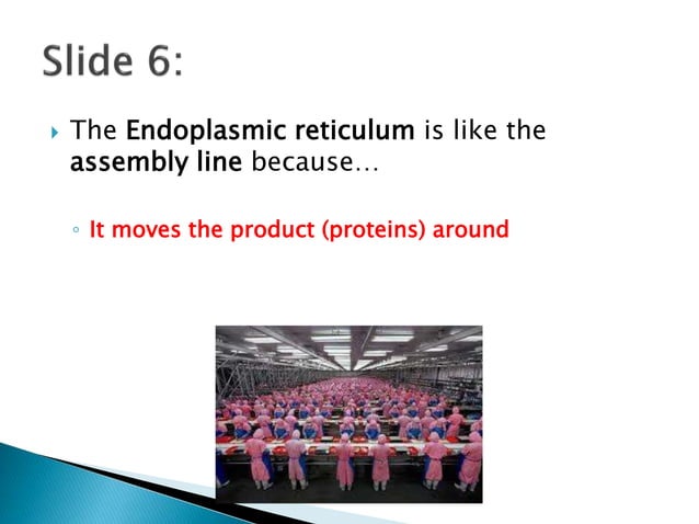 Cell Analogy PowerPoint.pptx