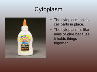 Cell Analogy powerpt.ppt cells analogy p | PPT