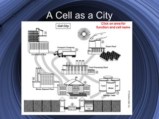 Cell analogy project | PPT