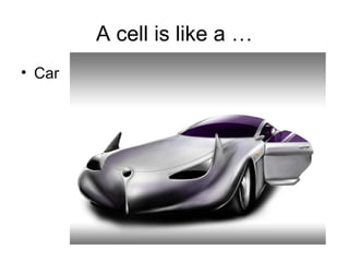 Cell analogy zachary | PPT