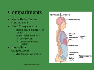Cell Anatomy | PPT