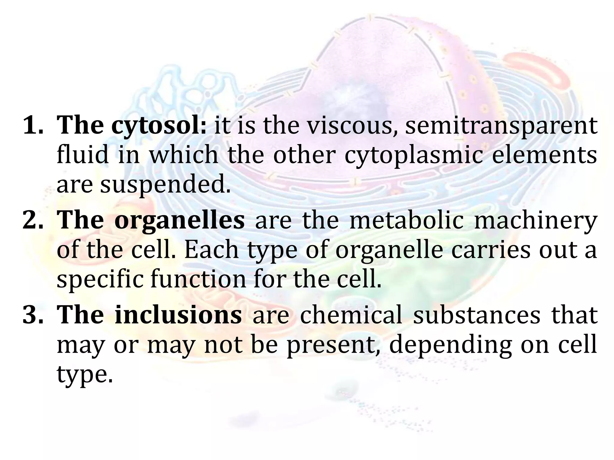 Cell anatomy | PPSX