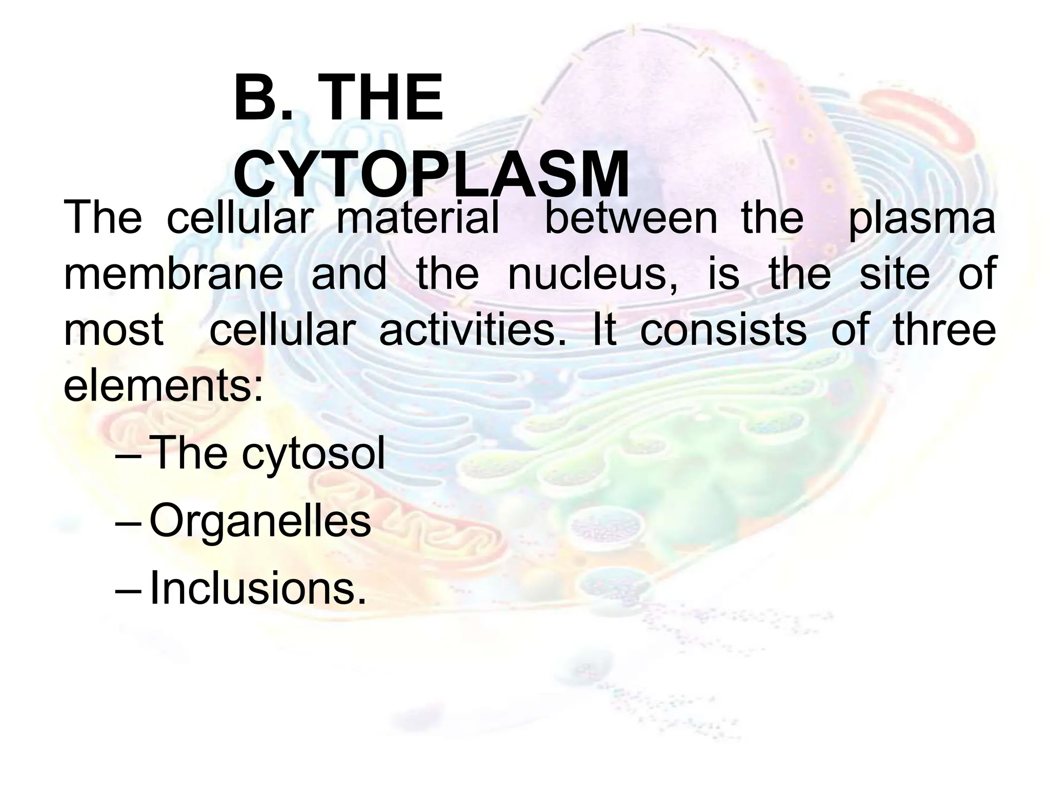 cell anatomy-.pptx