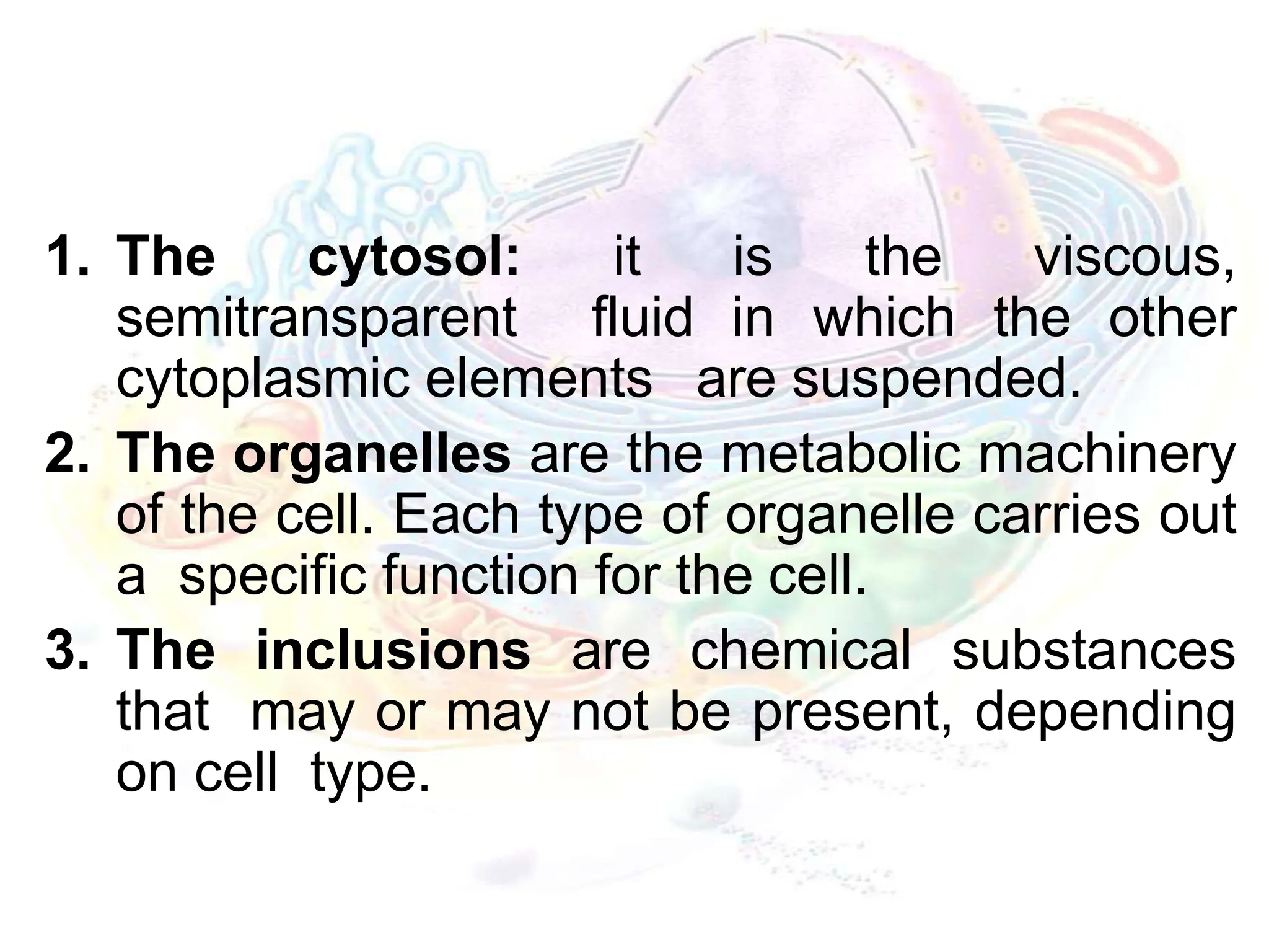 cell anatomy-.pptx