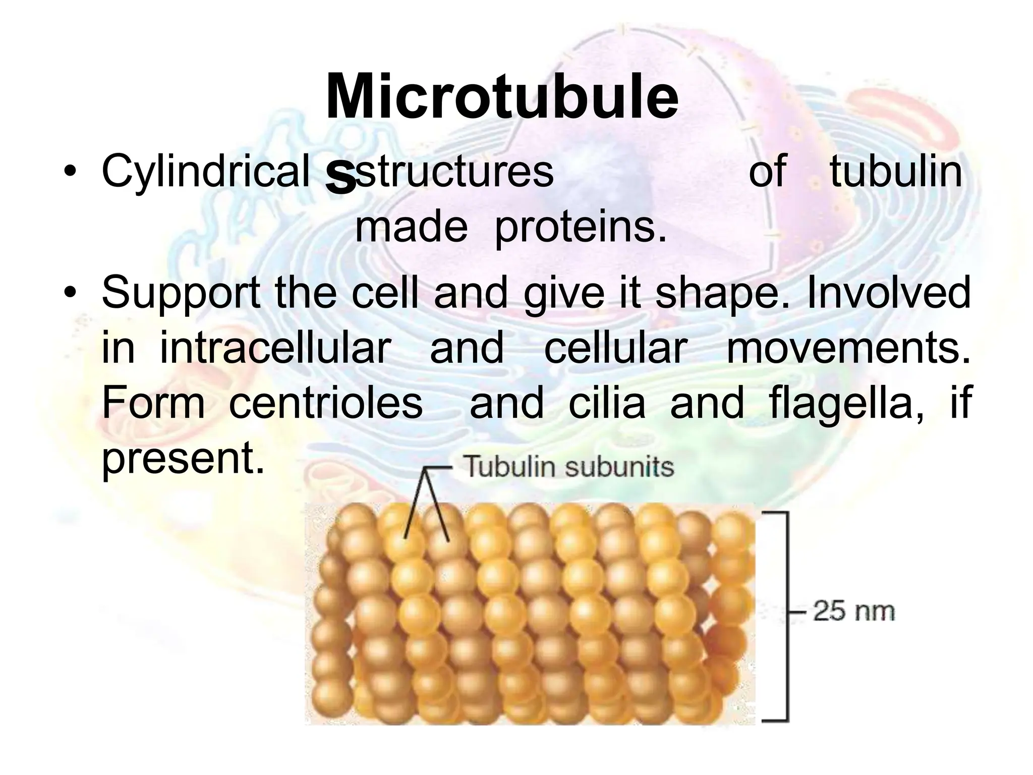 cell anatomy-.pptx