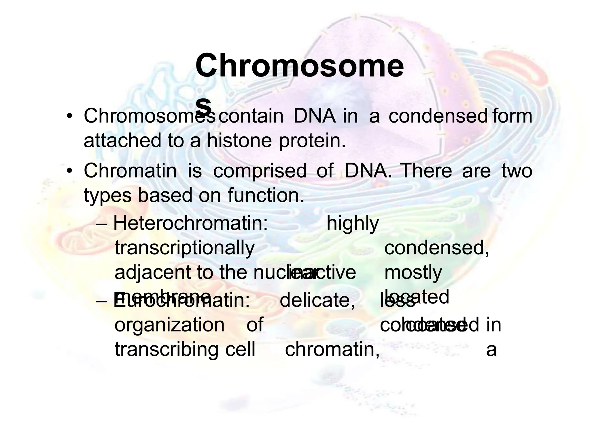 cell anatomy-.pptx