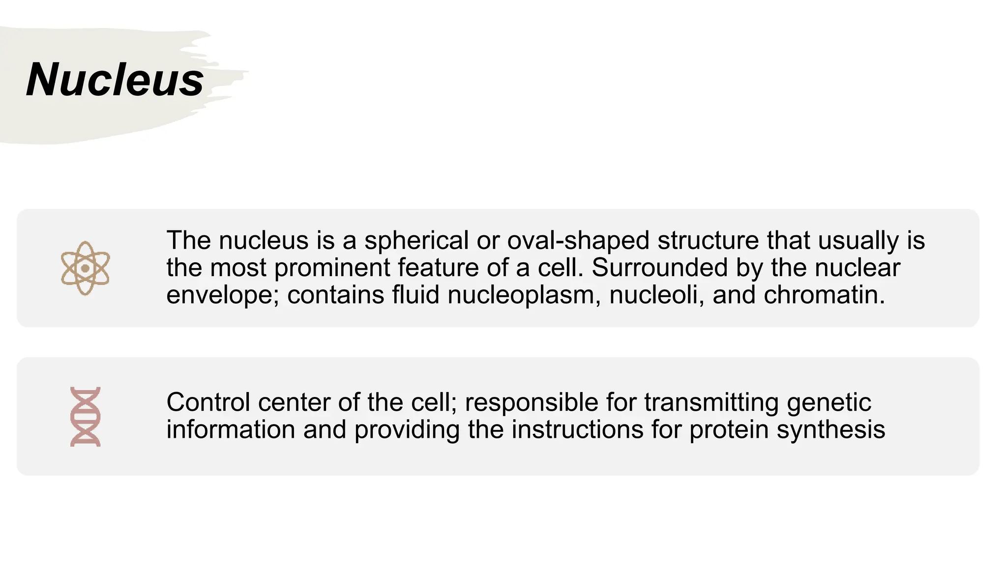 Cell anatomy.pptx
