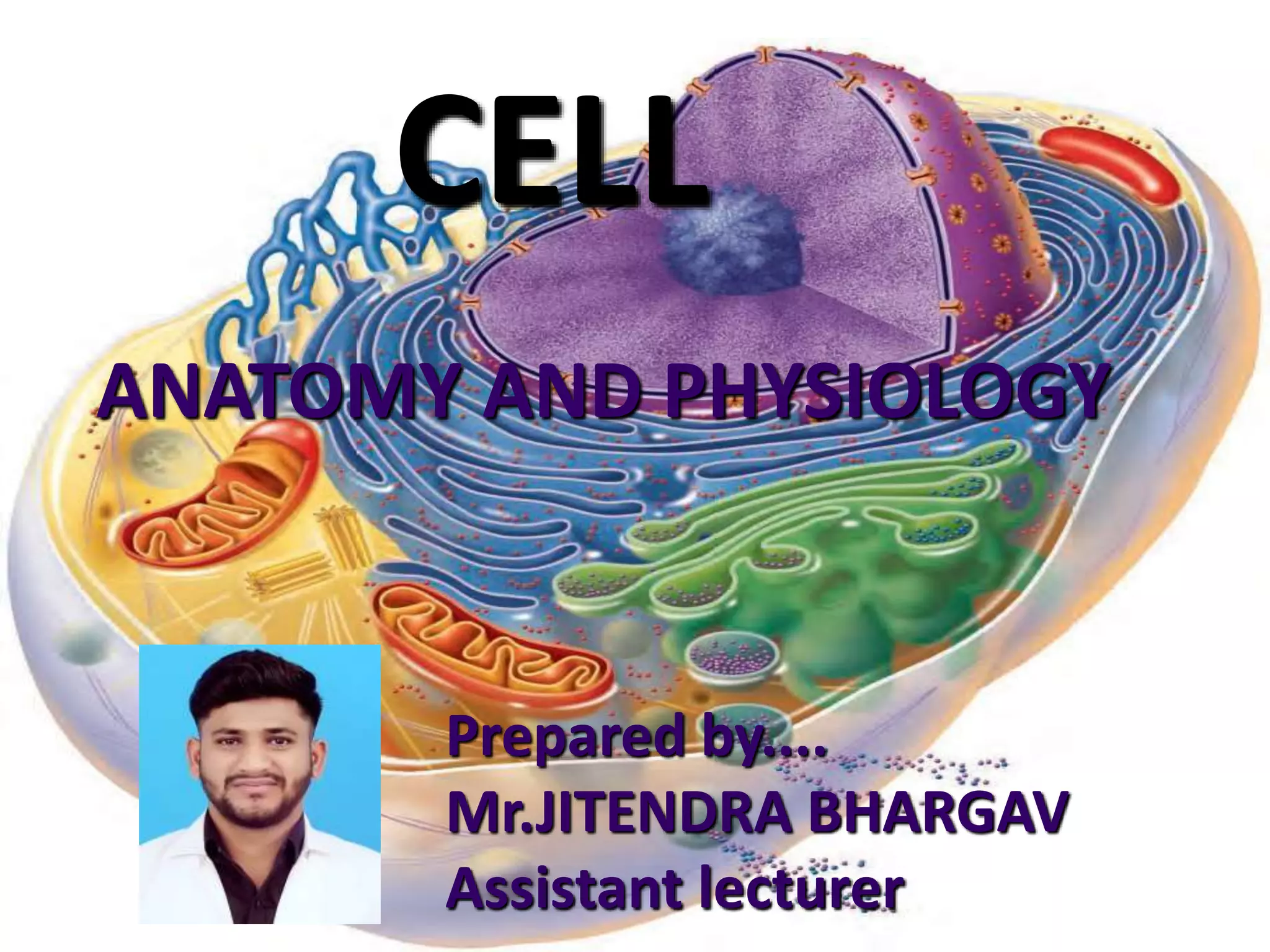 CELL ANATOMY AND PHYSIOLOGY SLIDESHARE | PPTX