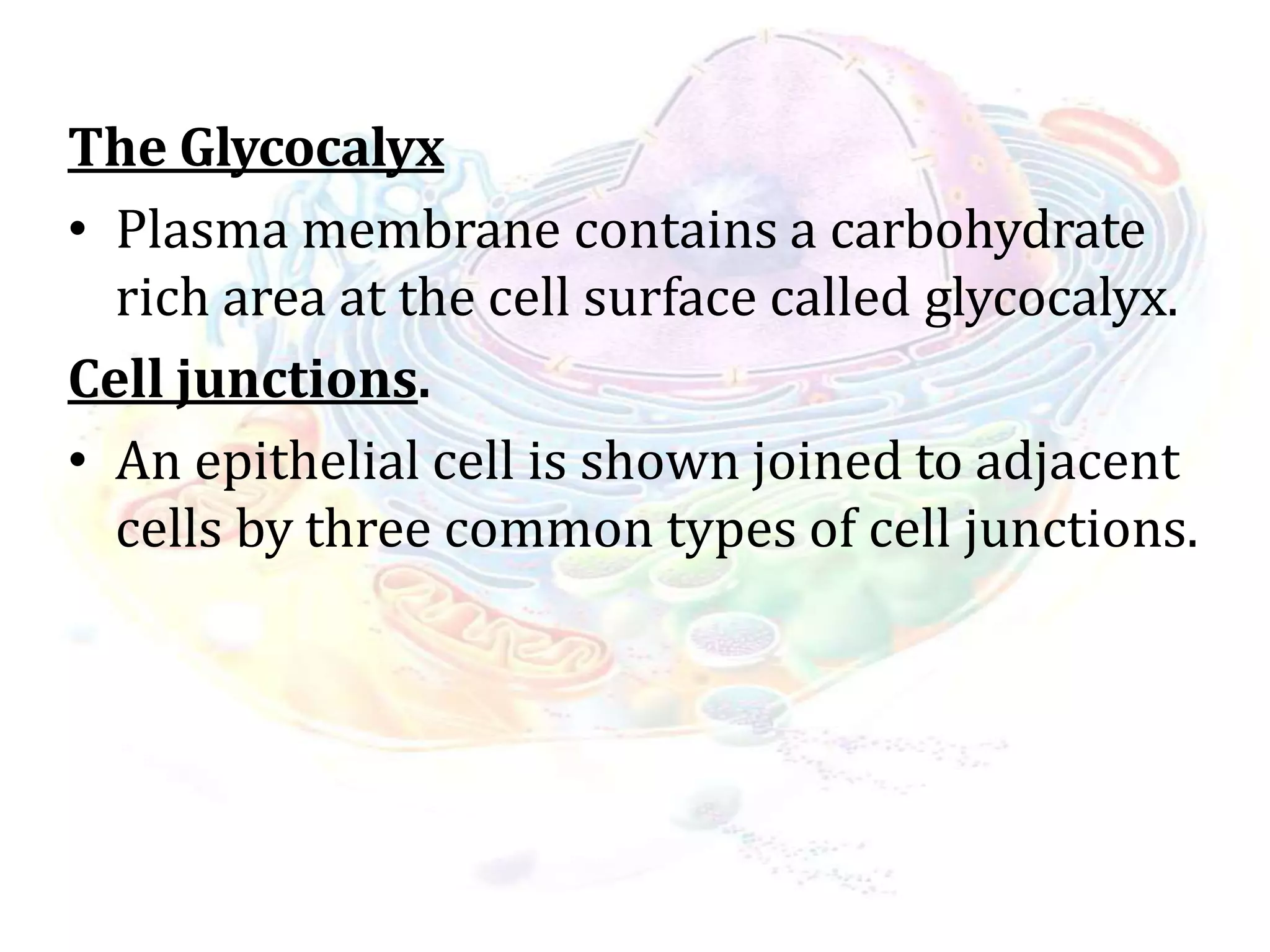CELL ANATOMY AND PHYSIOLOGY SLIDESHARE | PPTX