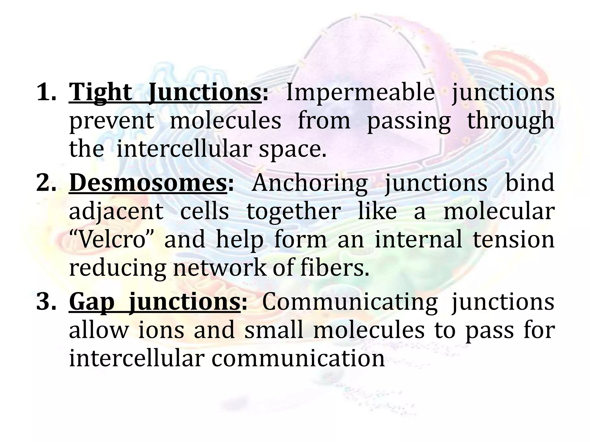 CELL ANATOMY AND PHYSIOLOGY SLIDESHARE | PPTX