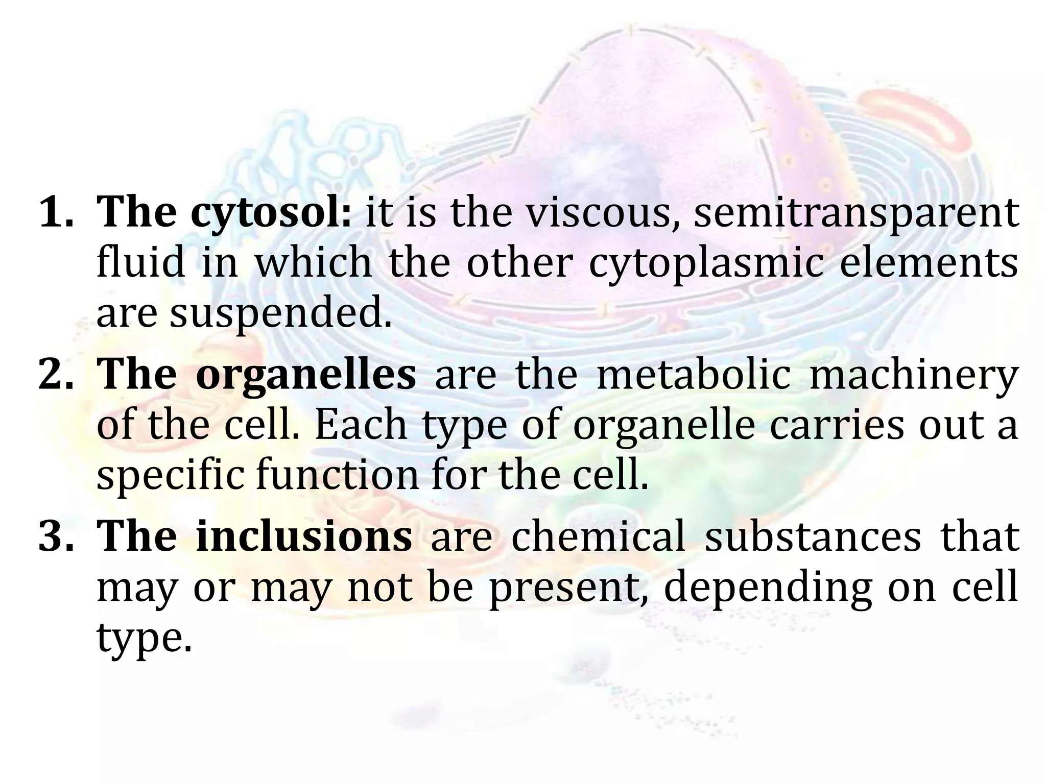 CELL ANATOMY AND PHYSIOLOGY SLIDESHARE | PPTX | Biological Sciences ...