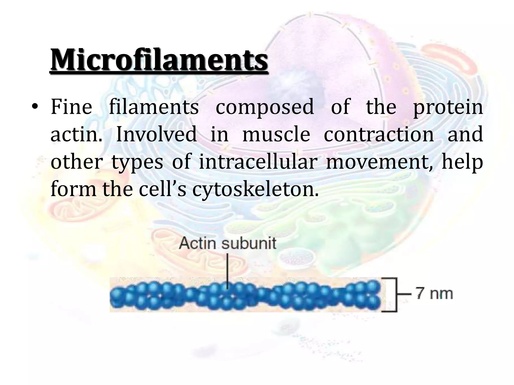 CELL ANATOMY AND PHYSIOLOGY SLIDESHARE | PPTX