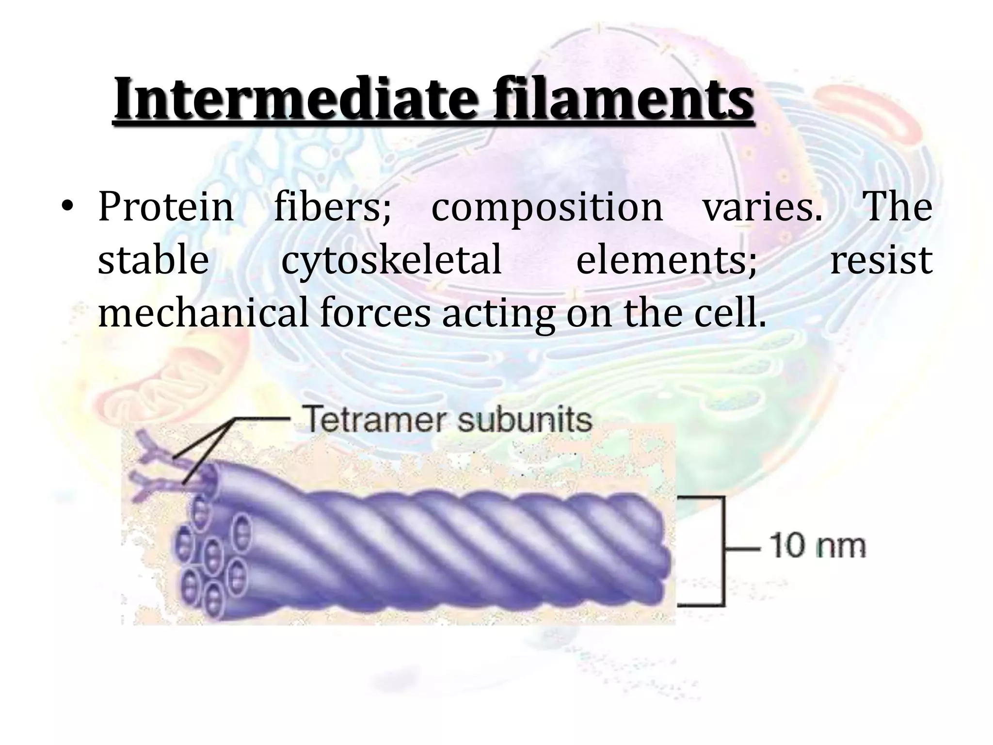 CELL ANATOMY AND PHYSIOLOGY SLIDESHARE | PPTX