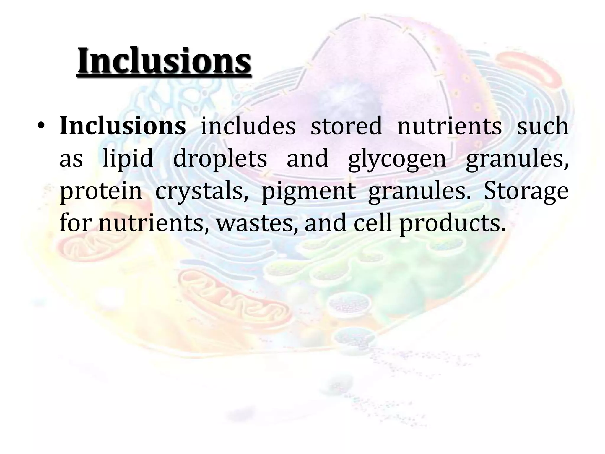 CELL ANATOMY AND PHYSIOLOGY SLIDESHARE | PPTX