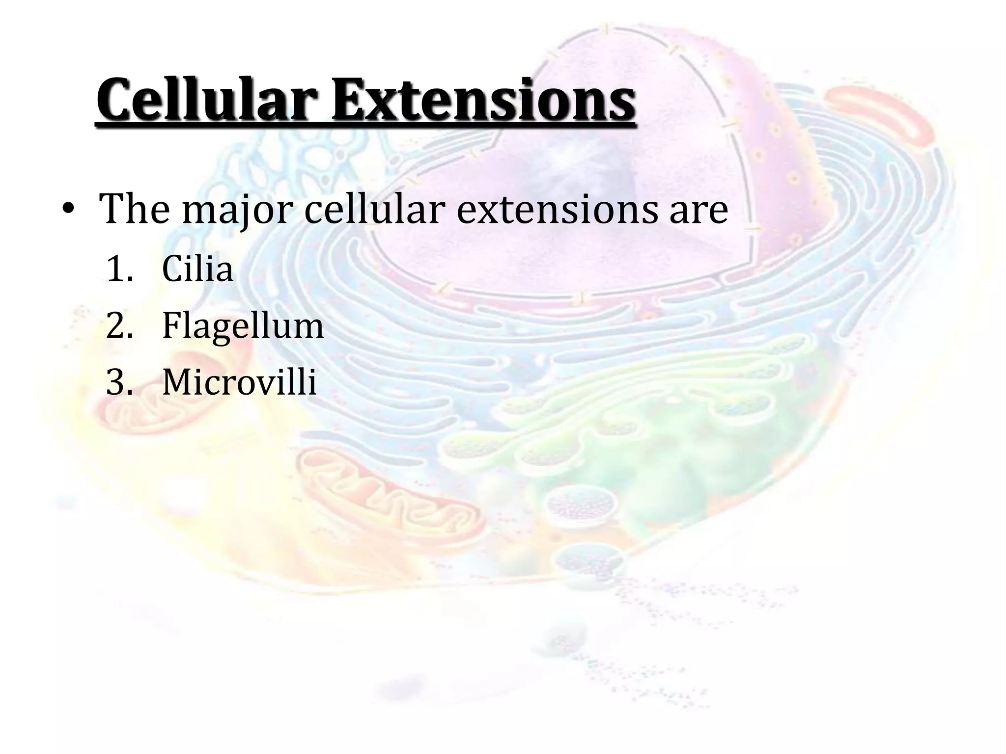 CELL ANATOMY AND PHYSIOLOGY SLIDESHARE | PPTX | Biological Sciences ...