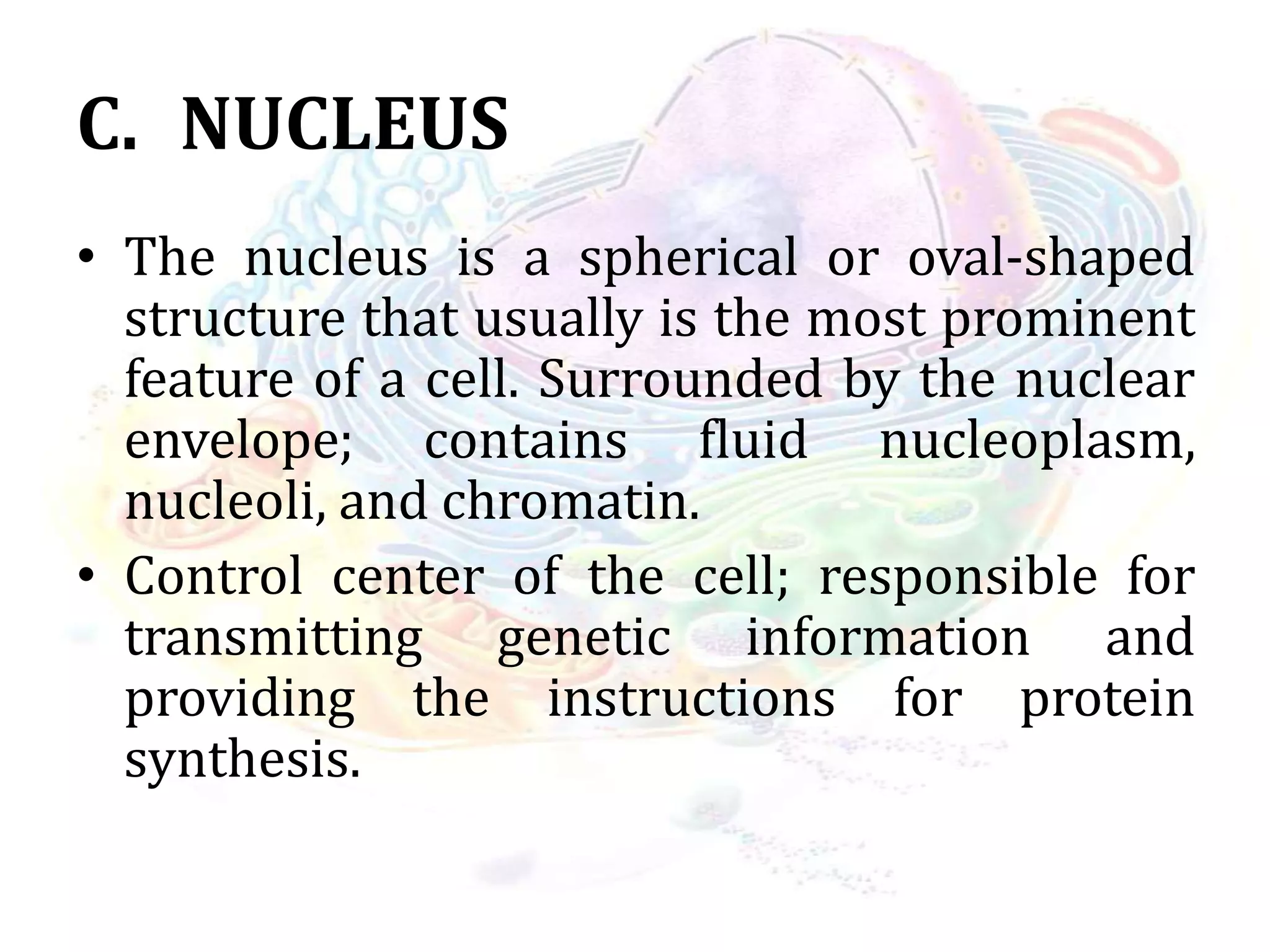 CELL ANATOMY AND PHYSIOLOGY SLIDESHARE | PPTX