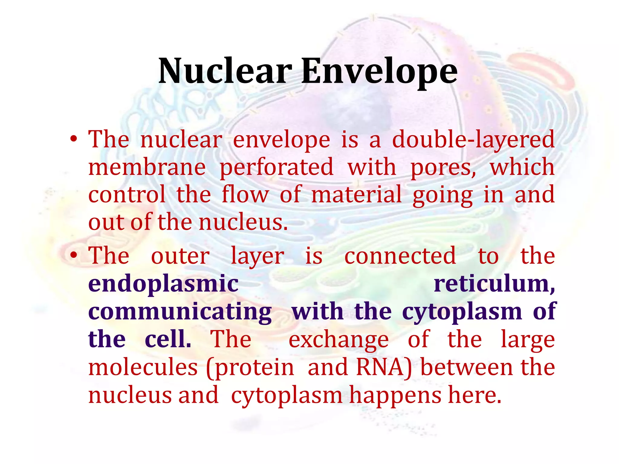 CELL ANATOMY AND PHYSIOLOGY SLIDESHARE | PPTX