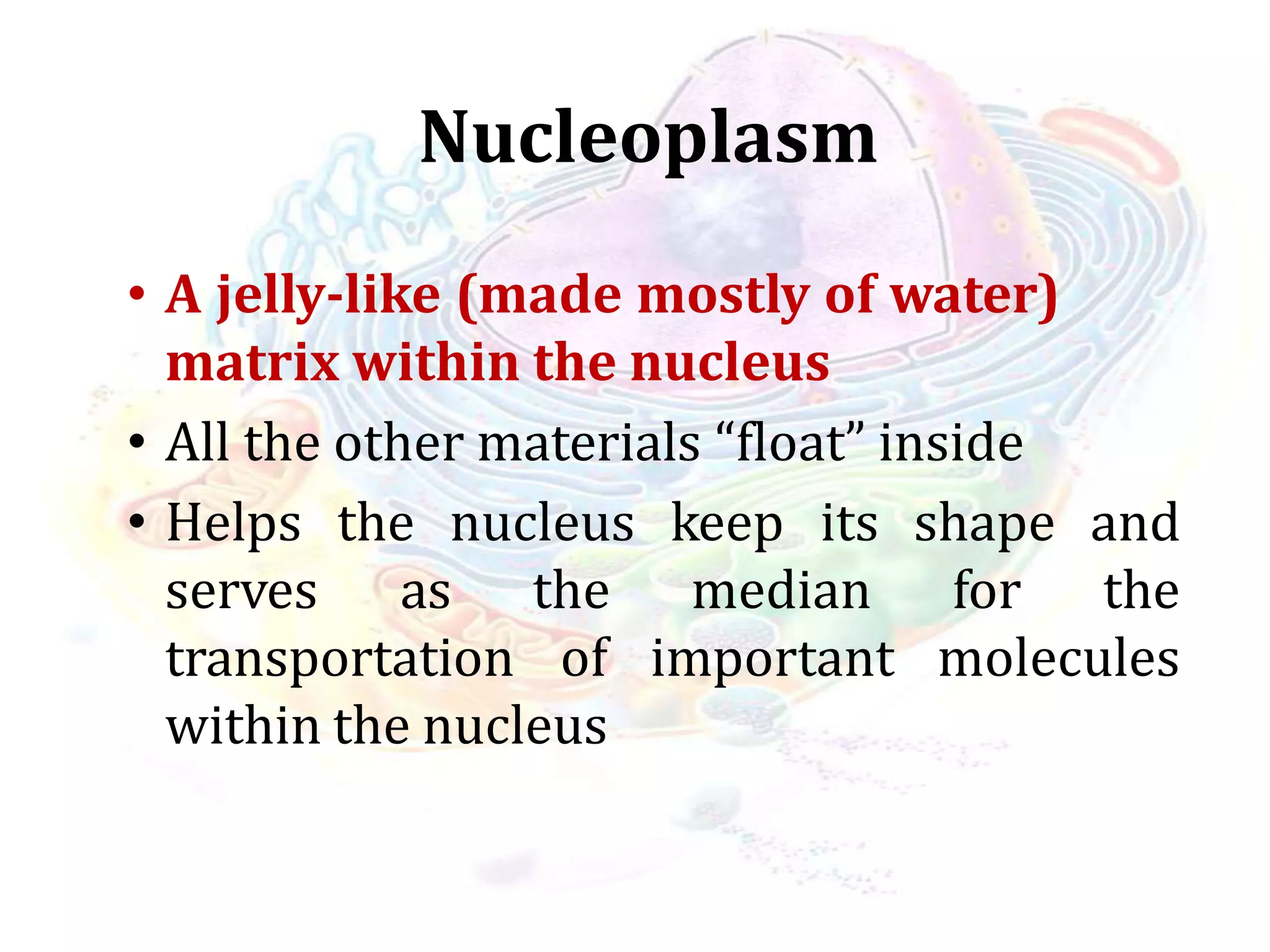 CELL ANATOMY AND PHYSIOLOGY SLIDESHARE | PPTX