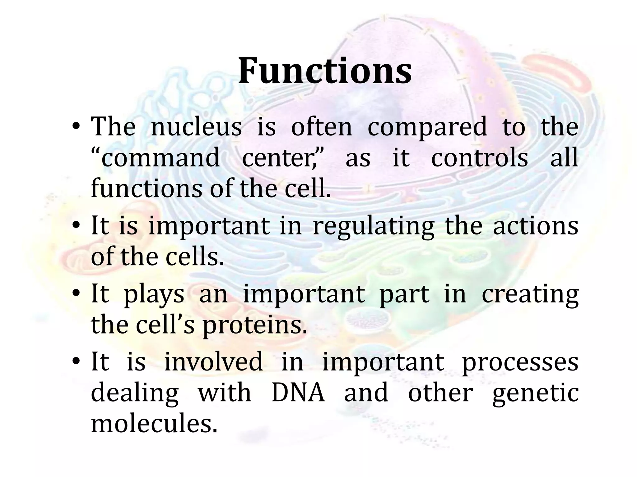 CELL ANATOMY AND PHYSIOLOGY SLIDESHARE | PPTX | Biological Sciences ...