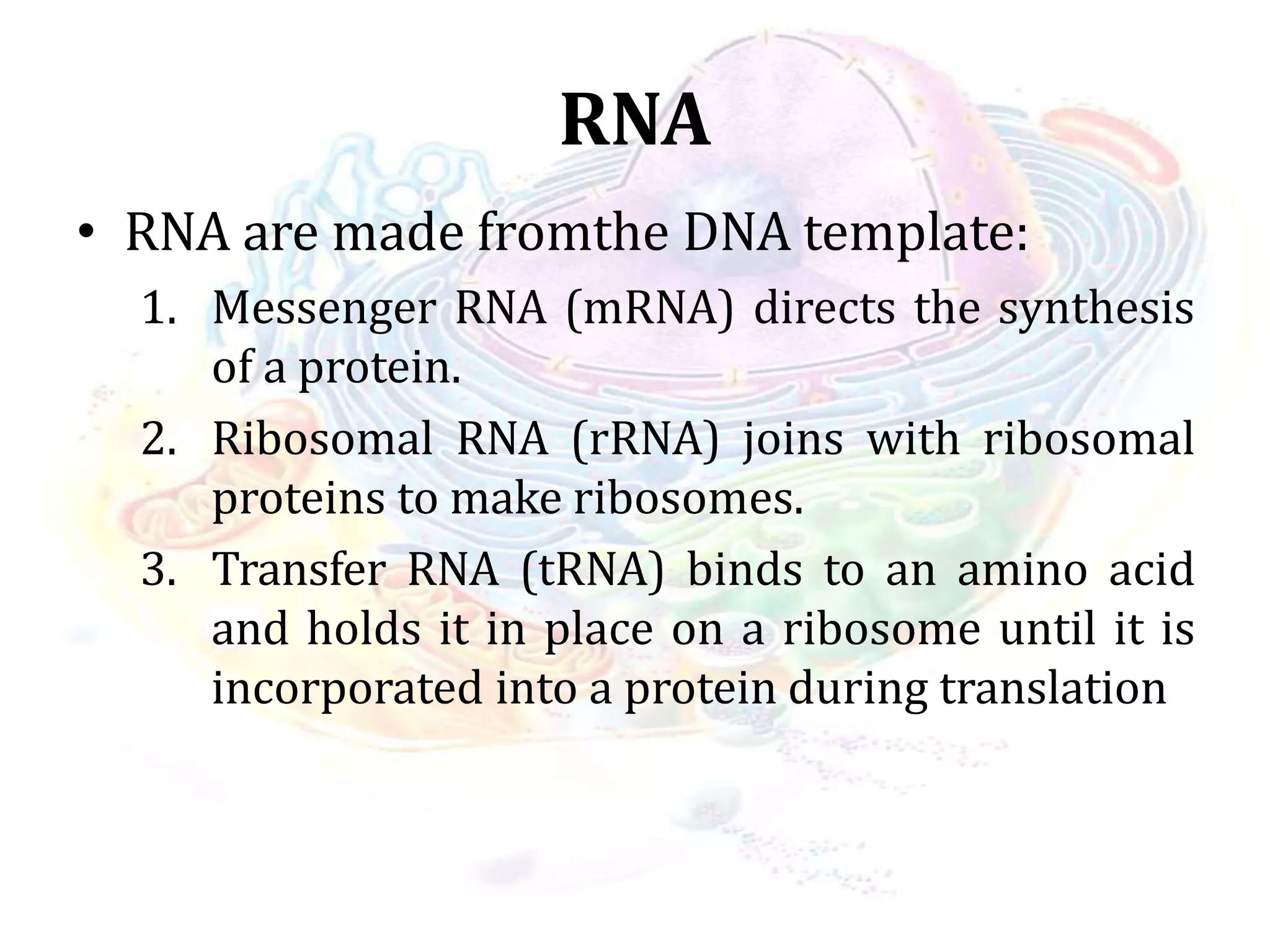 CELL ANATOMY AND PHYSIOLOGY SLIDESHARE | PPTX