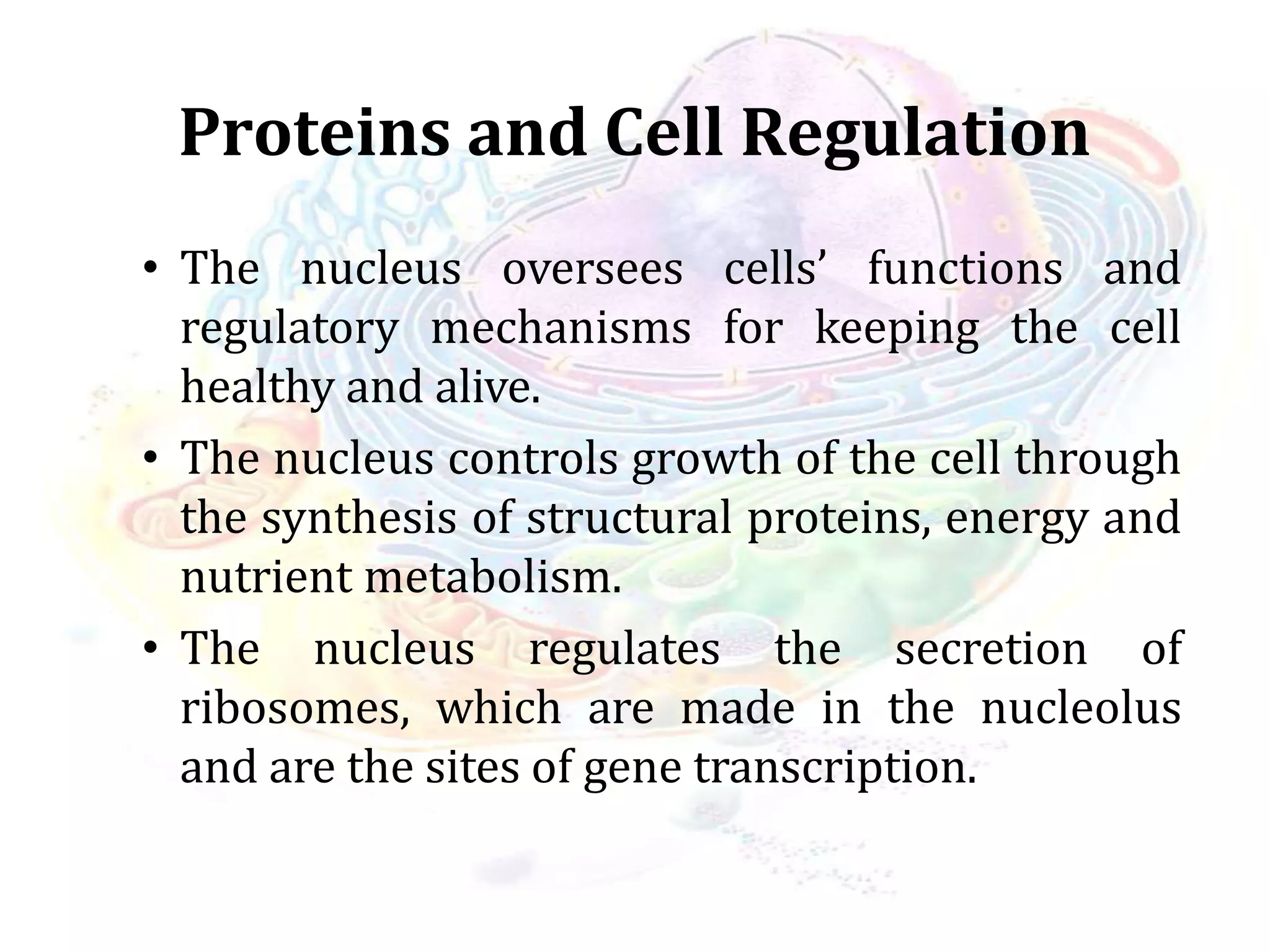 CELL ANATOMY AND PHYSIOLOGY SLIDESHARE | PPTX | Biological Sciences ...