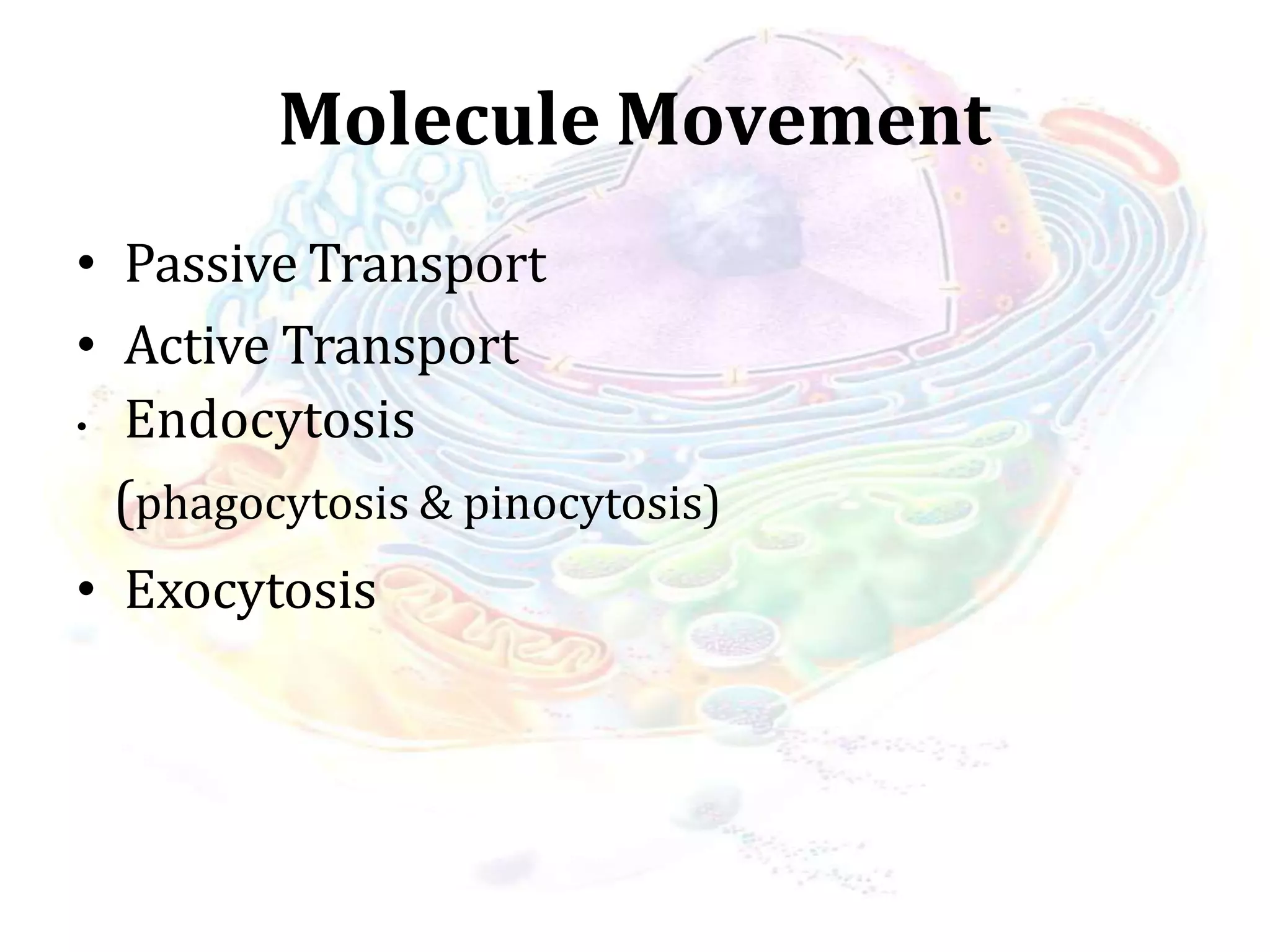 CELL ANATOMY AND PHYSIOLOGY SLIDESHARE | PPTX | Biological Sciences ...