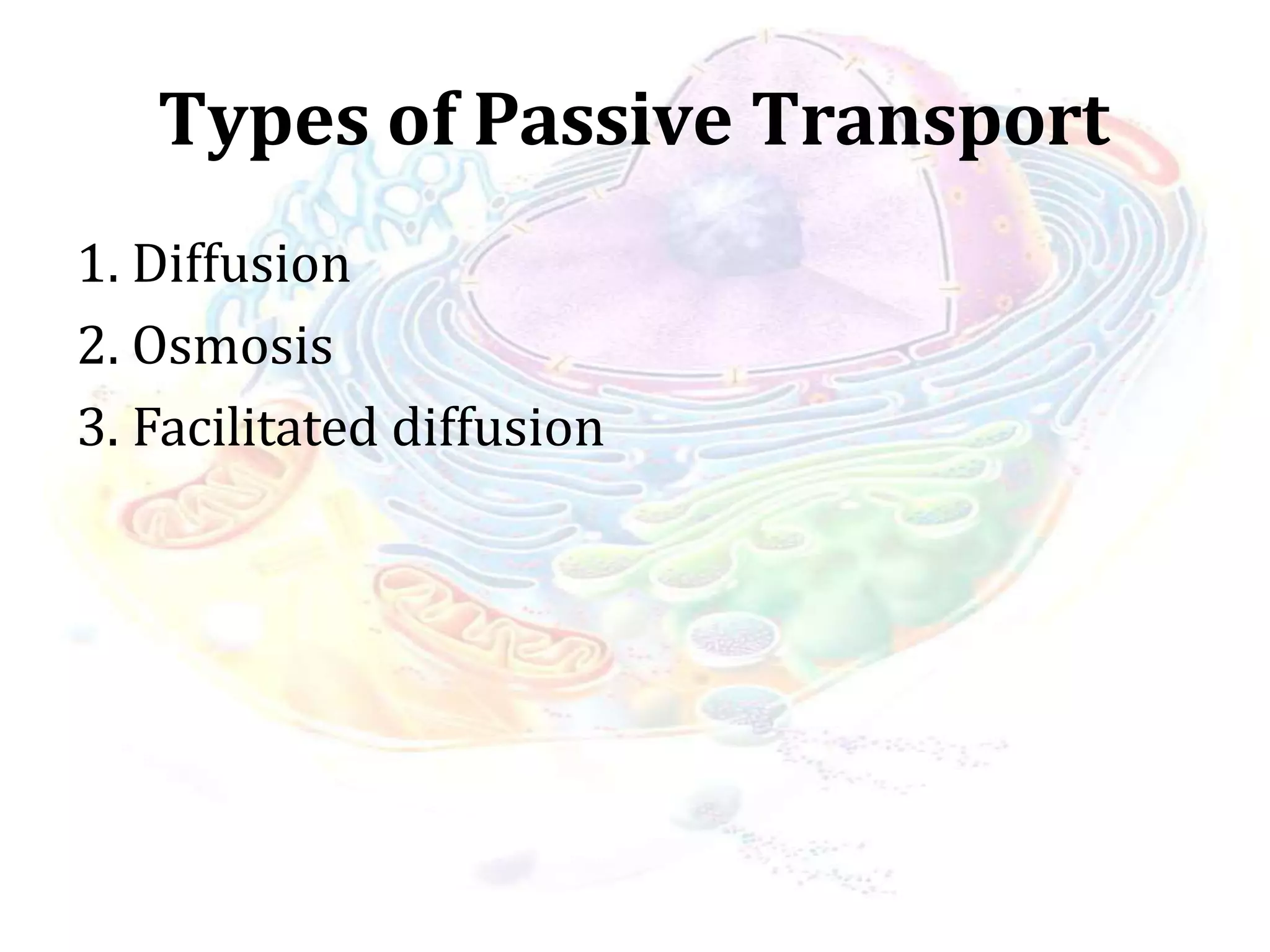 CELL ANATOMY AND PHYSIOLOGY SLIDESHARE | PPTX