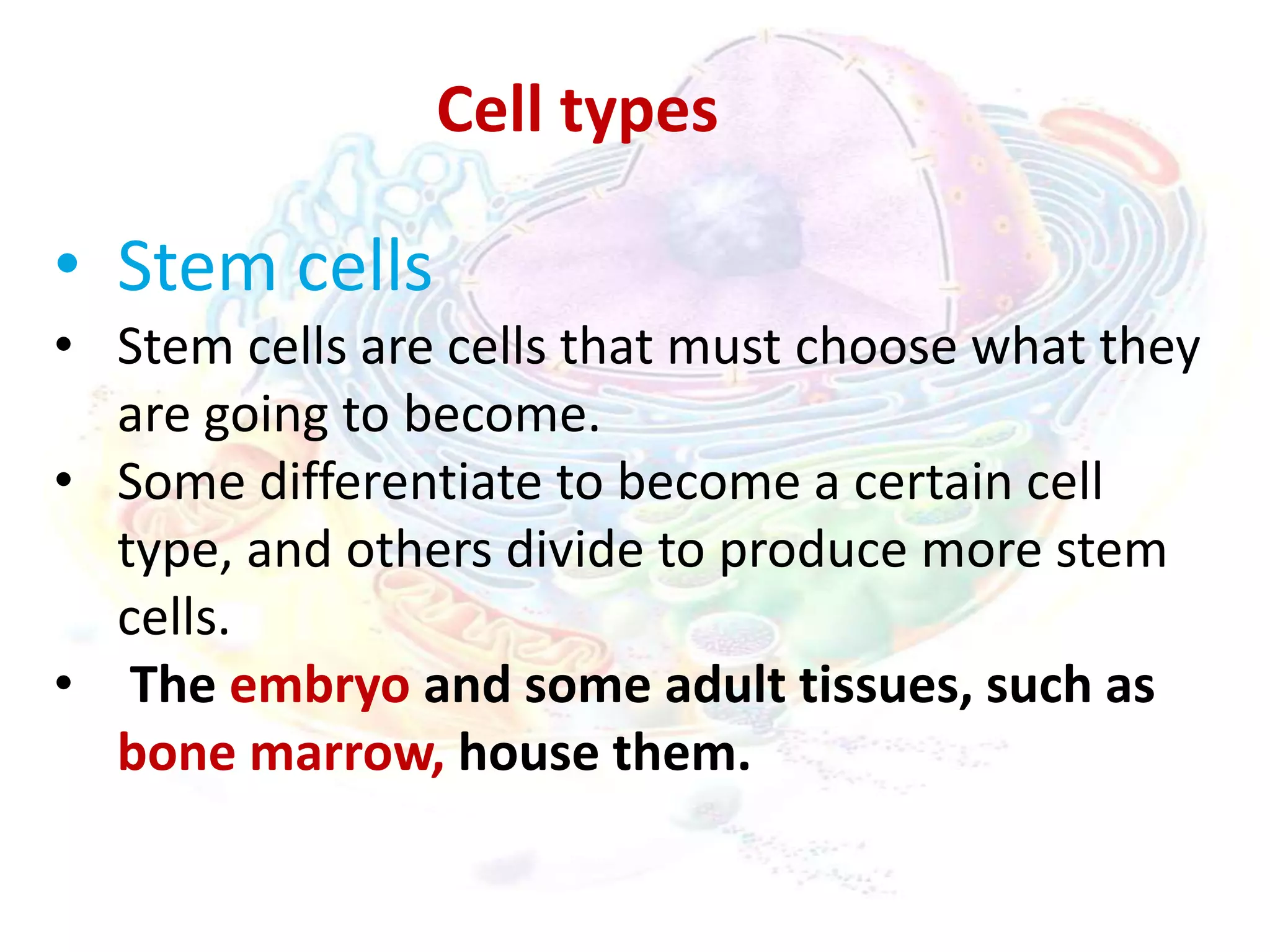 CELL ANATOMY AND PHYSIOLOGY SLIDESHARE | PPTX