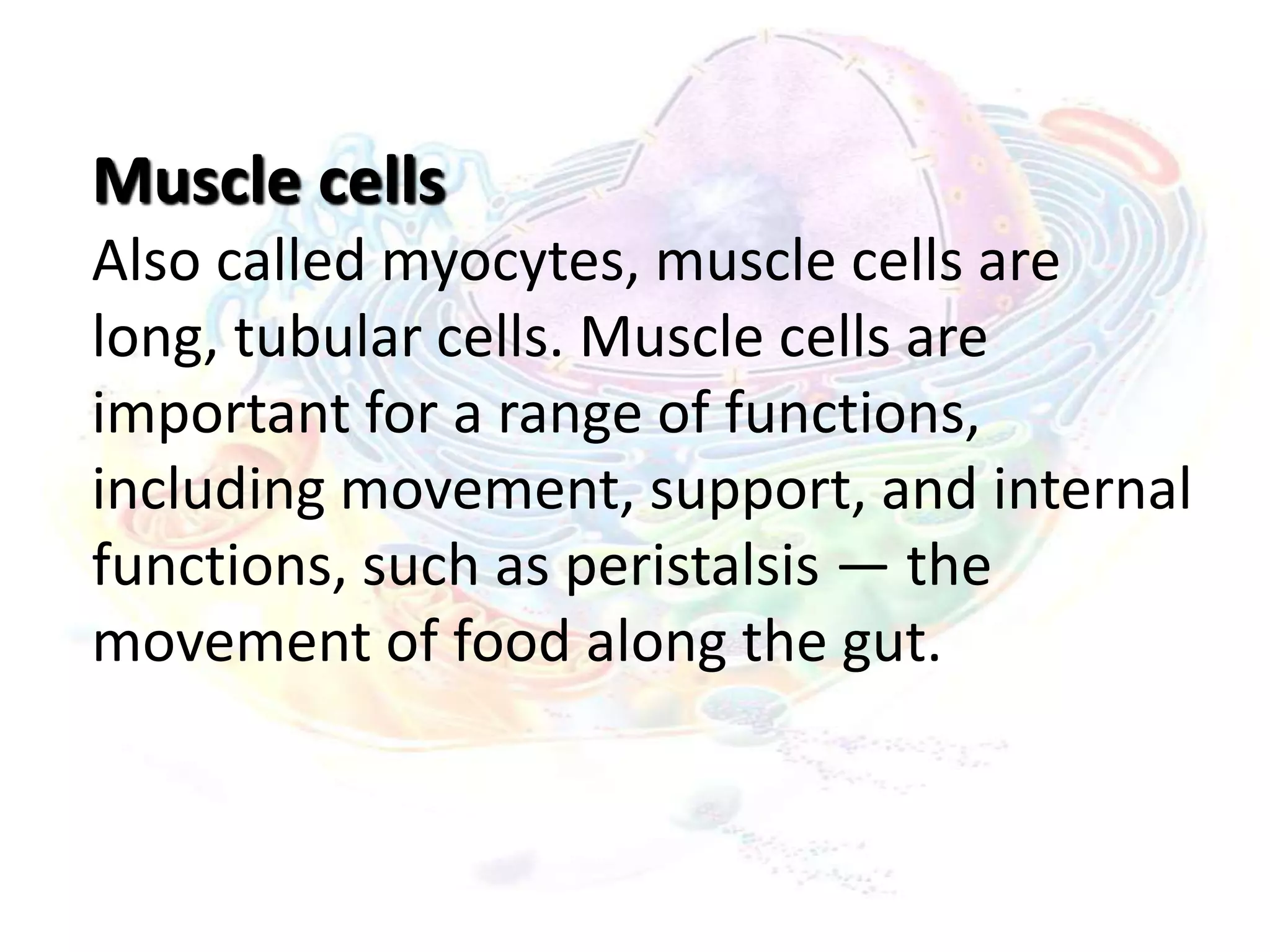 CELL ANATOMY AND PHYSIOLOGY SLIDESHARE | PPTX