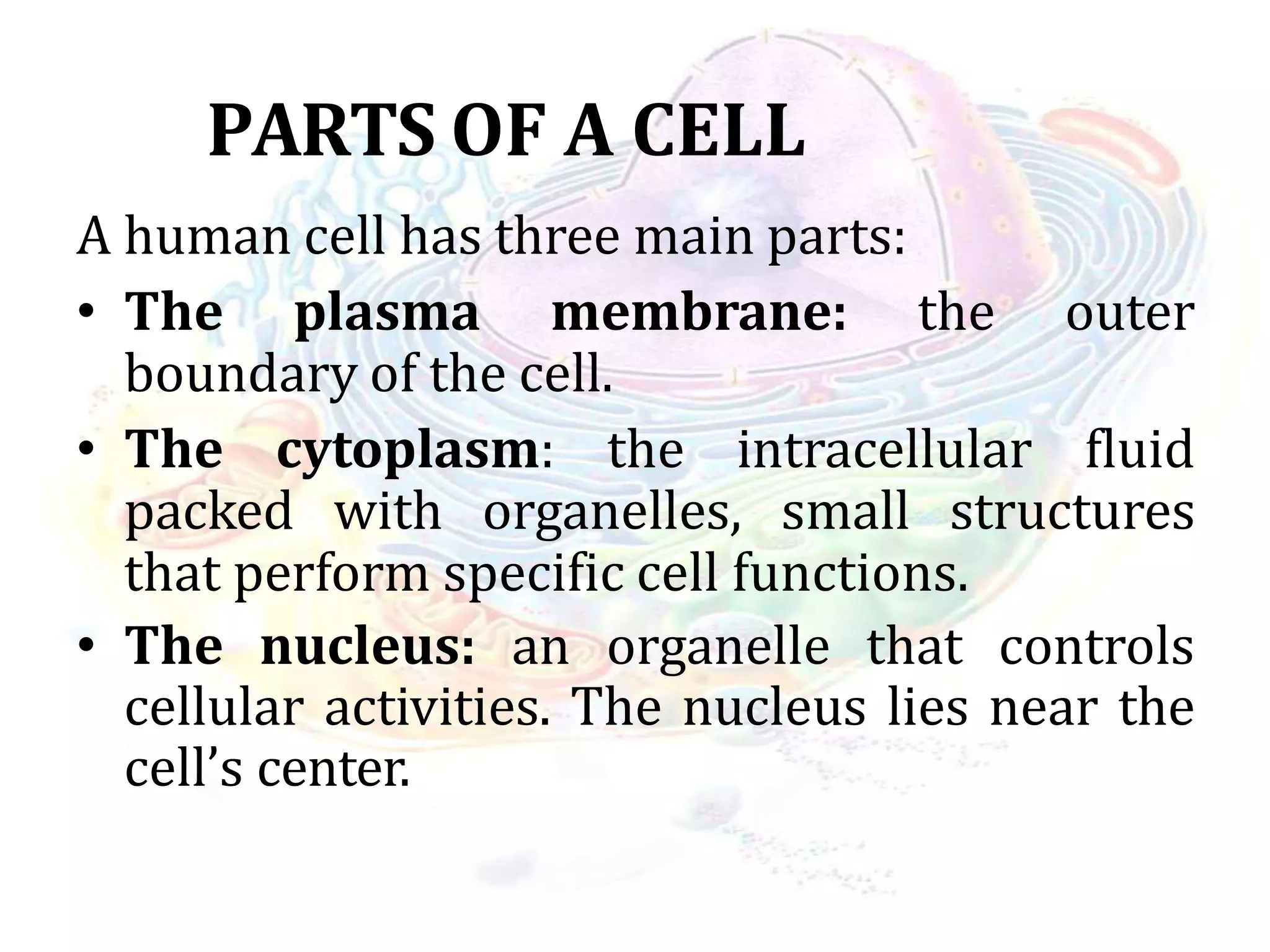 CELL ANATOMY AND PHYSIOLOGY SLIDESHARE | PPTX