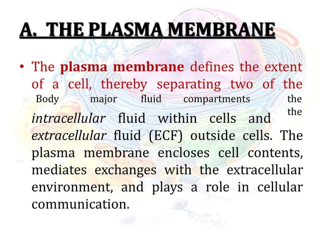 CELL ANATOMY AND PHYSIOLOGY SLIDESHARE | PPTX | Biological Sciences ...