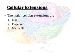 CELL ANATOMY AND PHYSIOLOGY SLIDESHARE | PPTX