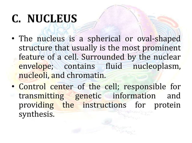 CELL ANATOMY AND PHYSIOLOGY SLIDESHARE | PPTX | Biological Sciences ...