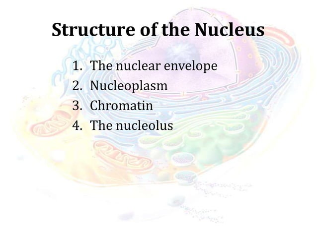 CELL ANATOMY AND PHYSIOLOGY SLIDESHARE | PPTX | Biological Sciences ...